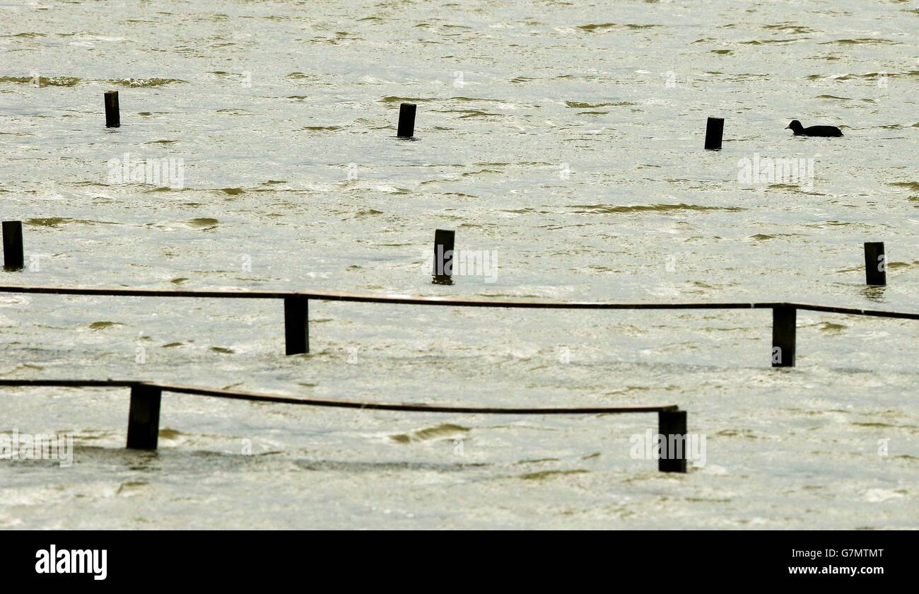 Belfast window on wildlife hi-res stock photography and images - Alamy