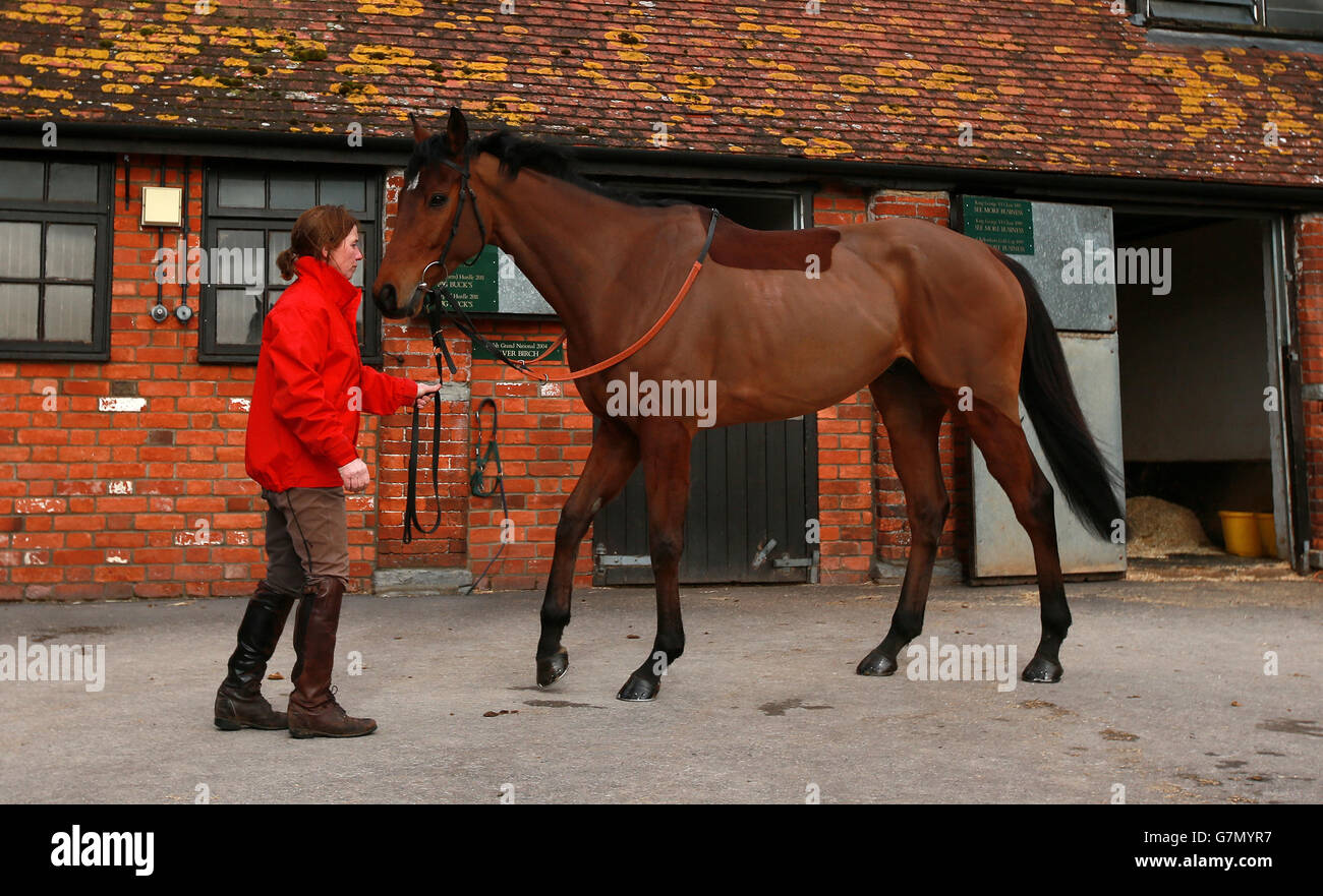 Horse Racing - Paul Nicholls Stables Visit - Manor Farm Stables Stock ...
