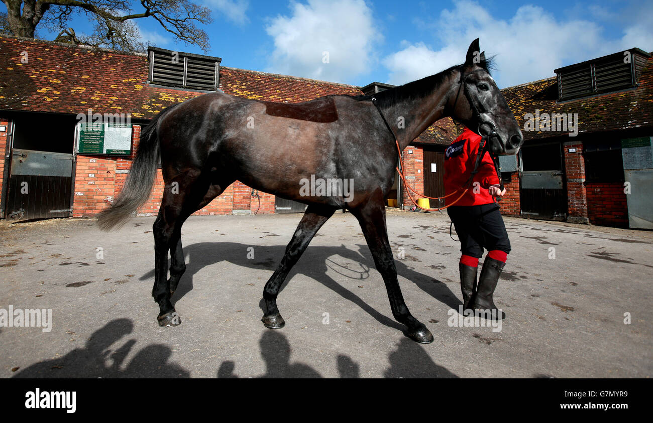 Horse racing paul nicholls stables visit manor farm stables hi-res ...