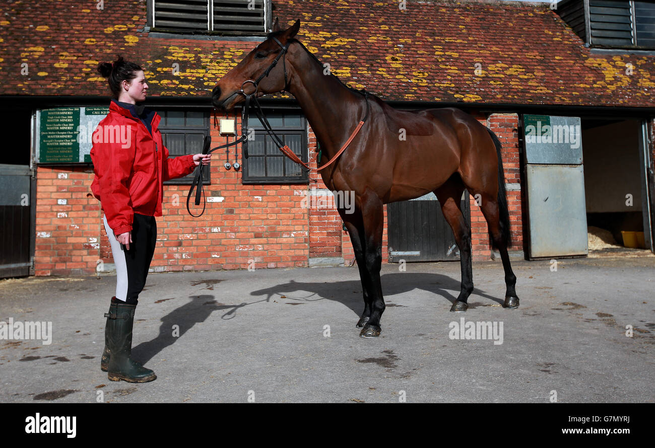Horse Racing - Paul Nicholls Stables Visit - Manor Farm Stables Stock ...