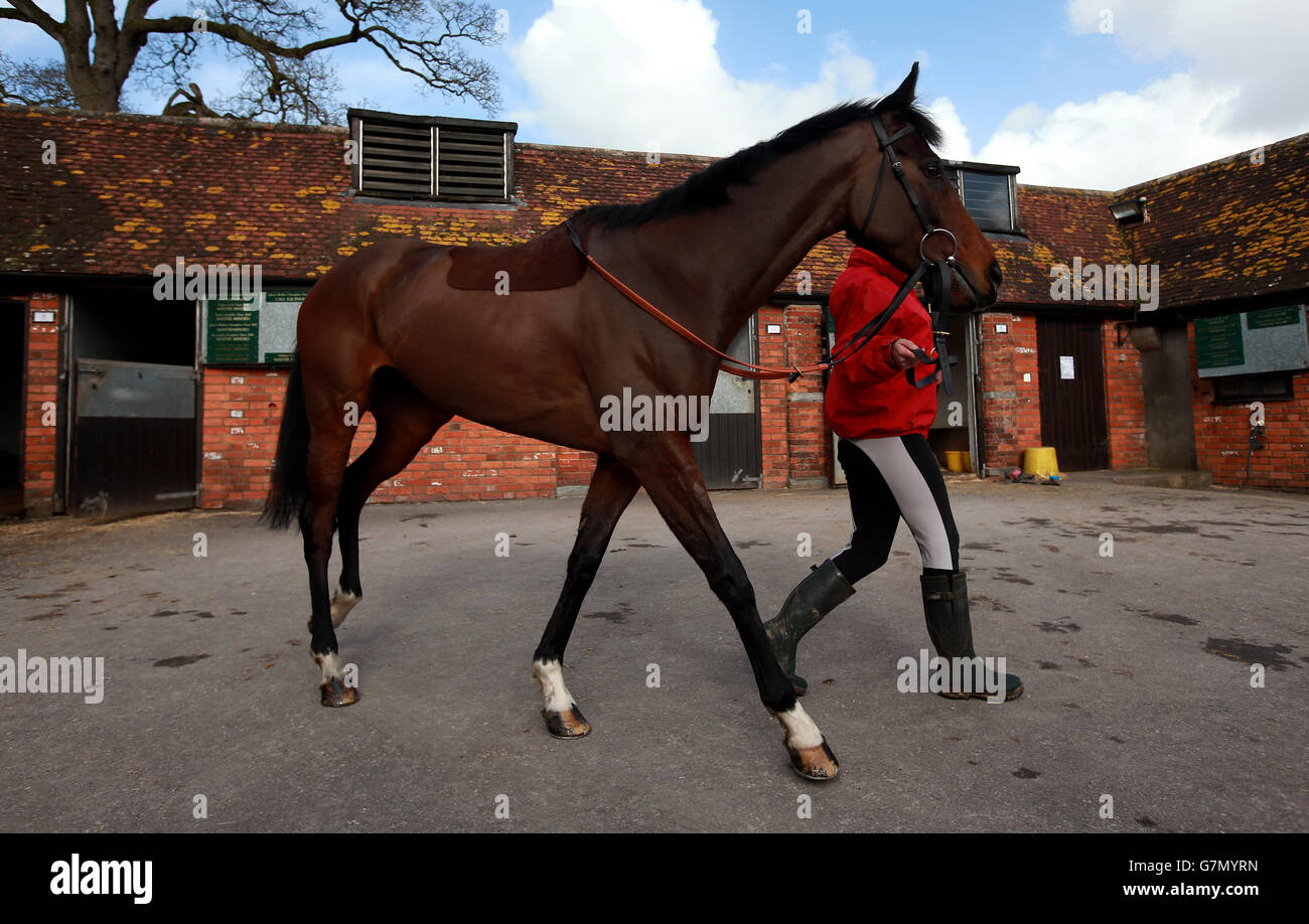 Horse Racing - Paul Nicholls Stables Visit - Manor Farm Stables. Caid ...