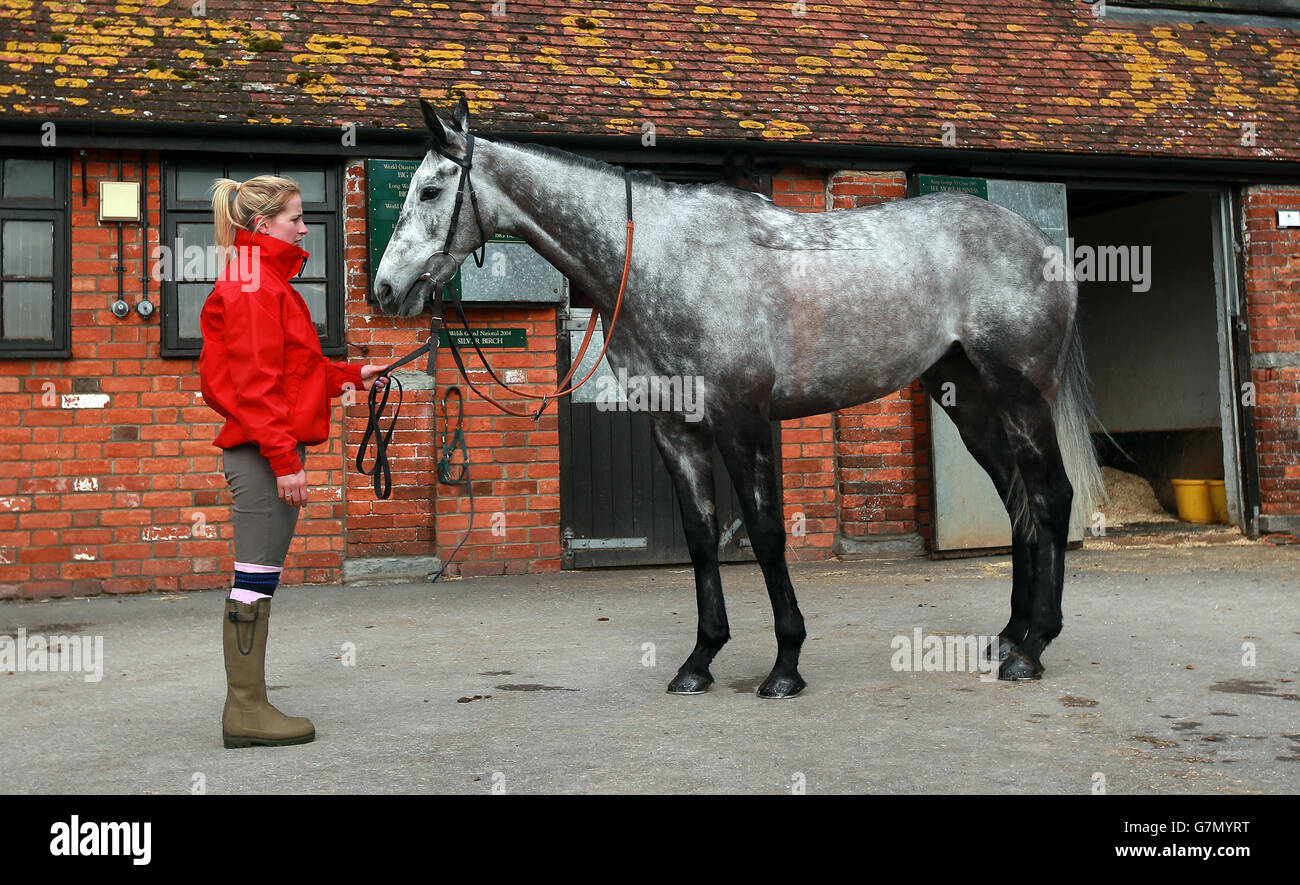 Full length paul nicholls hi-res stock photography and images - Alamy