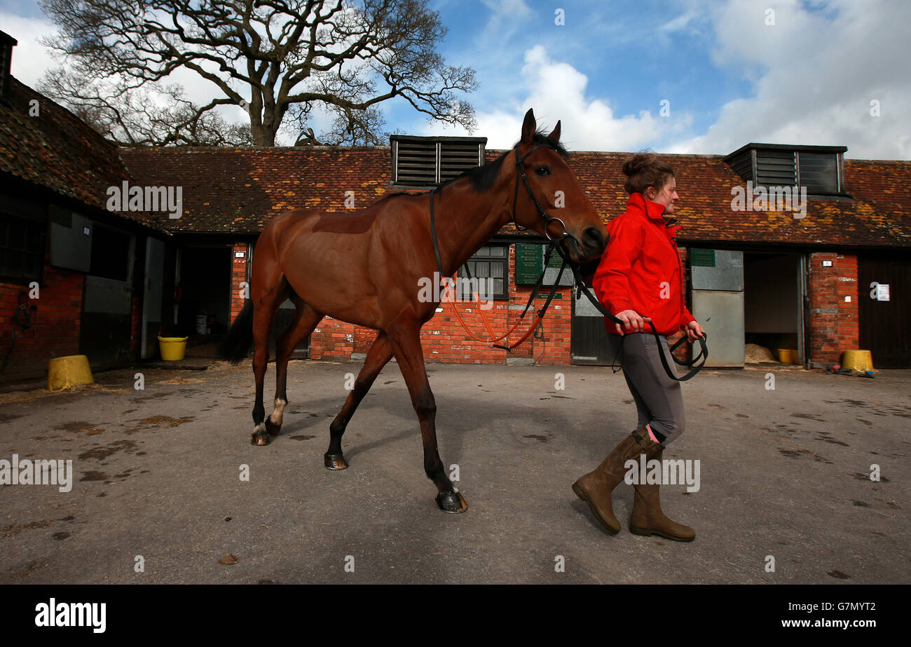 Sam Winner during the visit to Manor Farm Stables, Ditcheat Stock Photo ...