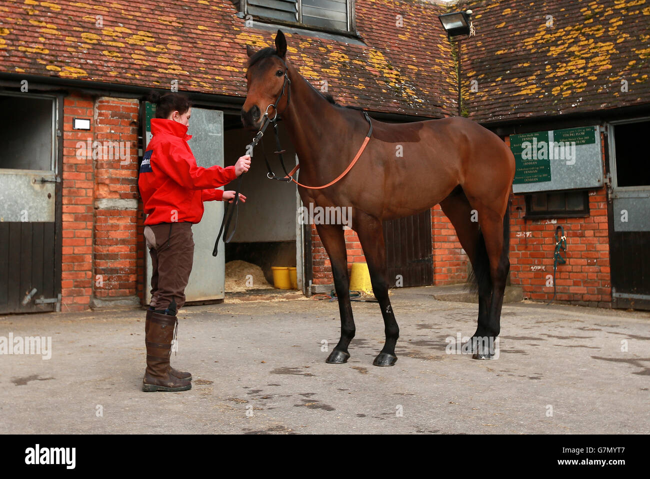 Horse Racing - Paul Nicholls Stables Visit - Manor Farm Stables ...