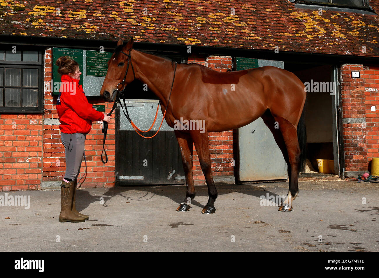 Horse Racing - Paul Nicholls Stables Visit - Manor Farm Stables Stock ...