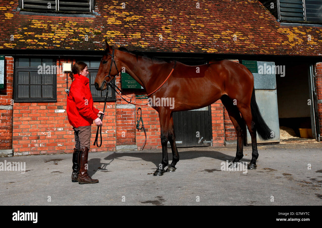Horse Racing - Paul Nicholls Stables Visit - Manor Farm Stables. Le ...