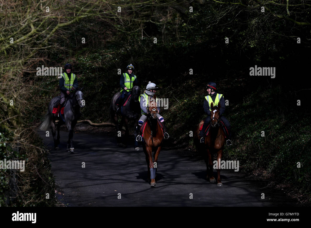 Horse Racing - Paul Nicholls Stables Visit - Manor Farm Stables. Horses ...