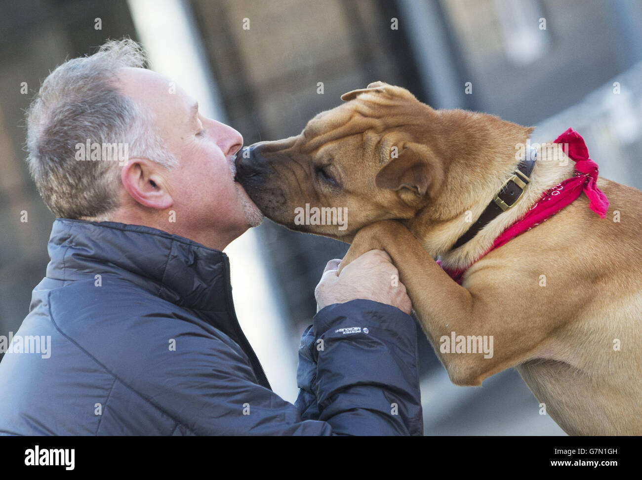 Kai the dog with his new owner Ian Russell at a Scottish SPCA office in ...