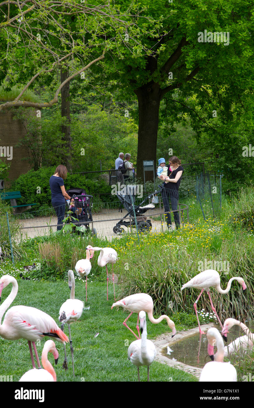 Located close to the city center, Basel Zoo is a popular place for a ...