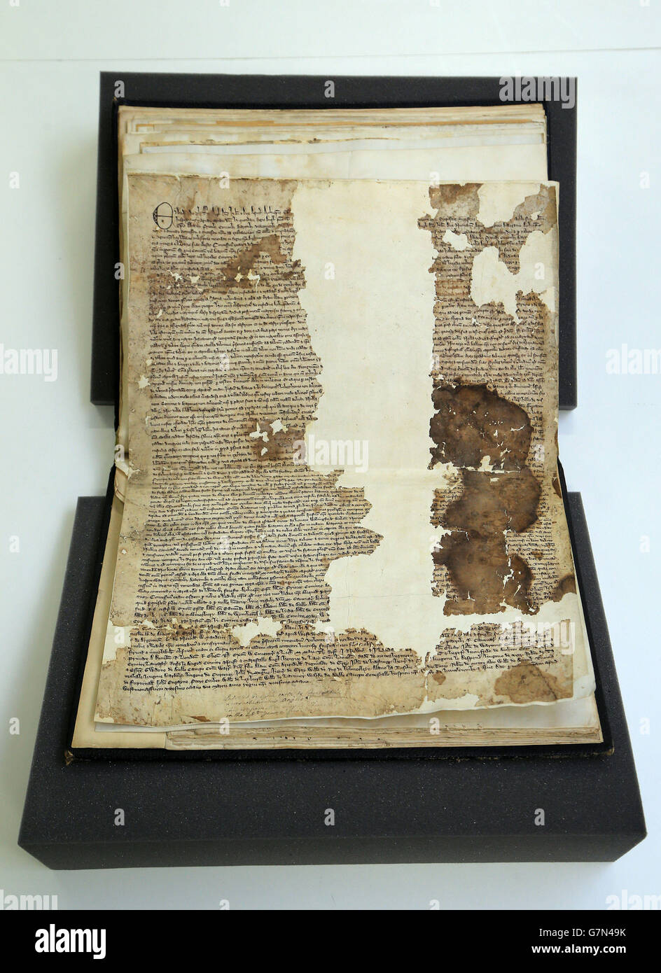A general view of an original Magna Carta from the issue made in 1300 ...