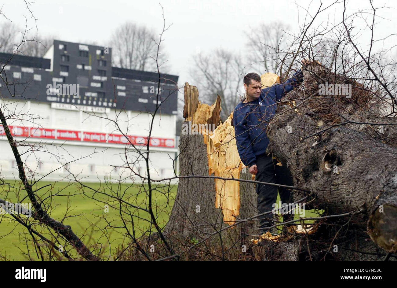 Simon Williamson Assistant Head Groundsman surveys whats left of the ...