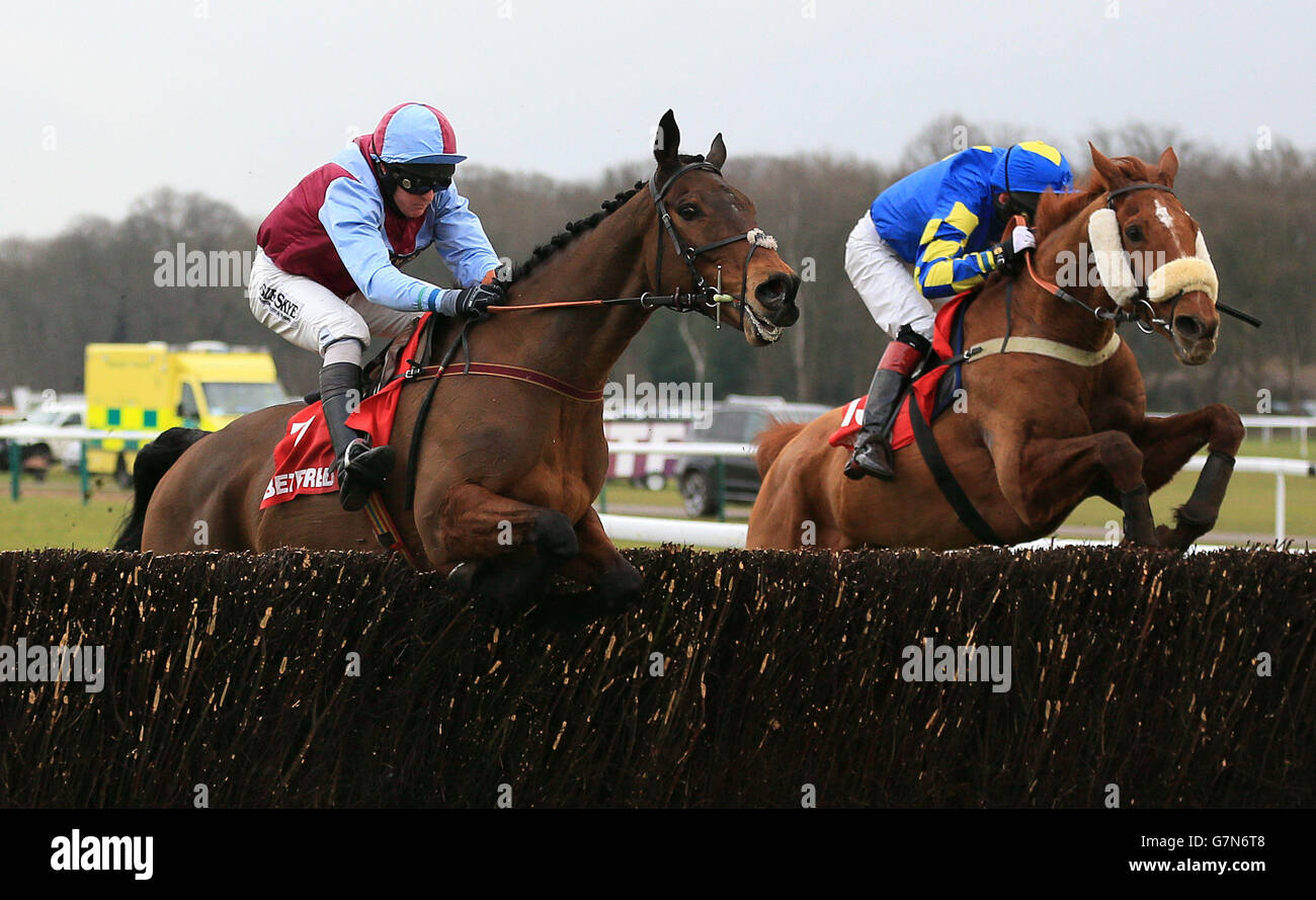 Jumps the last fence to win hi-res stock photography and images - Alamy