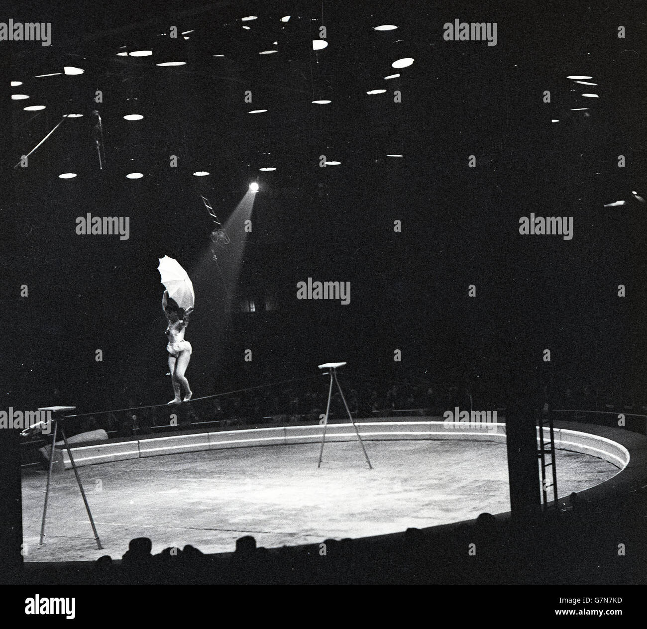 Female trapeze artist hi-res stock photography and images - Alamy