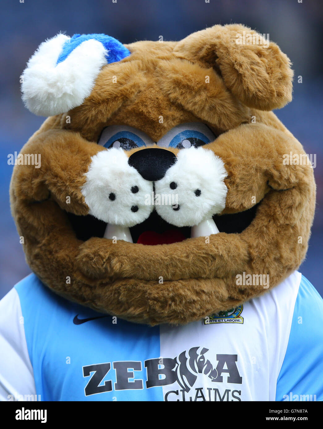 Rover the dog hi-res stock photography and images - Alamy