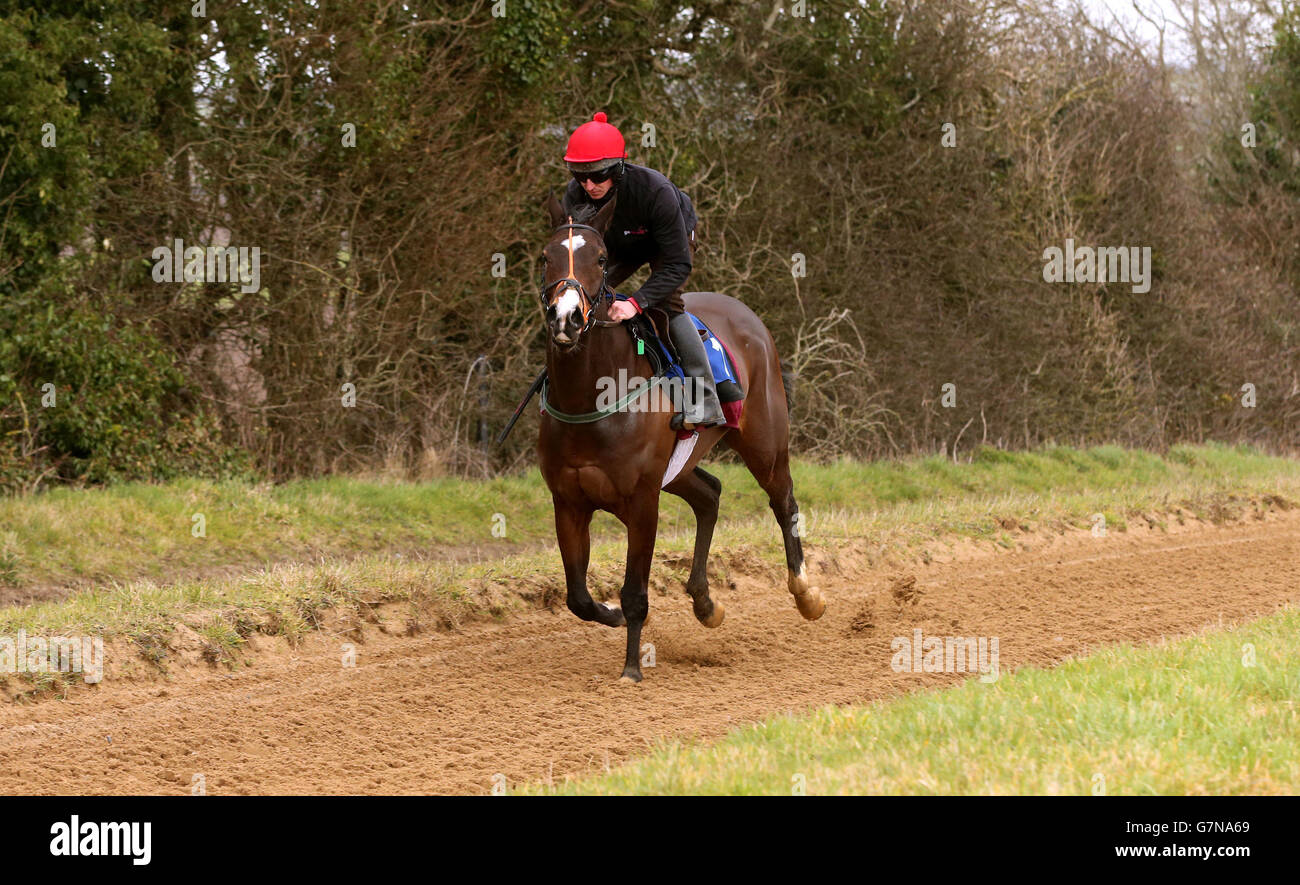 Visit jessica harrington stable visit hi-res stock photography and ...