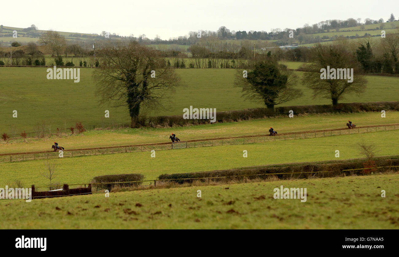 A general view of Jessica Harrington trained horses during a visit to ...