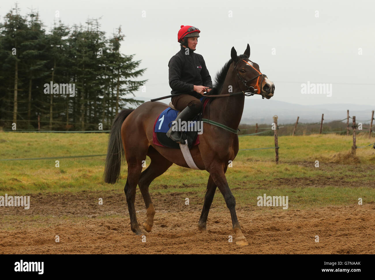 Jezki and Jockey Mark Bolger on the gallops during a visit to ...