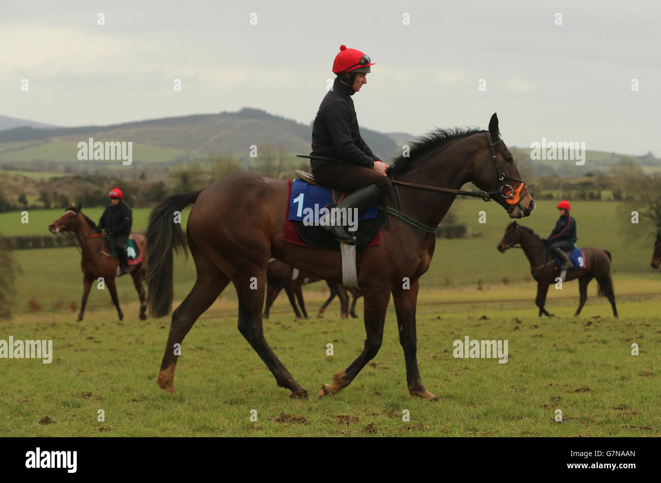 Horse Racing - Visit to Jessica Harrington Stable Visit - Commonstown ...