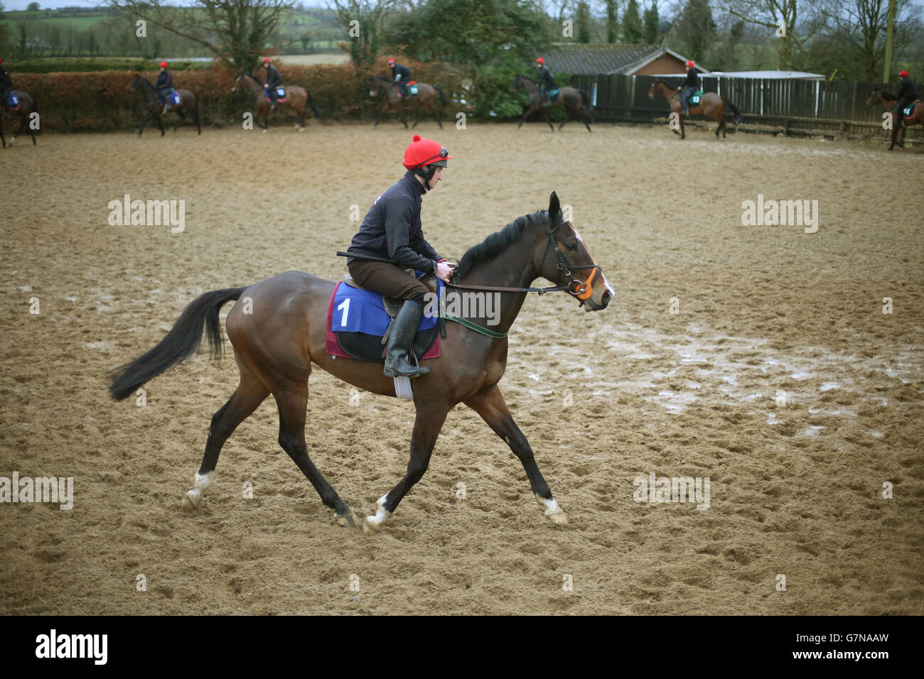 Horse Racing - Visit to Jessica Harrington Stable Visit - Commonstown ...