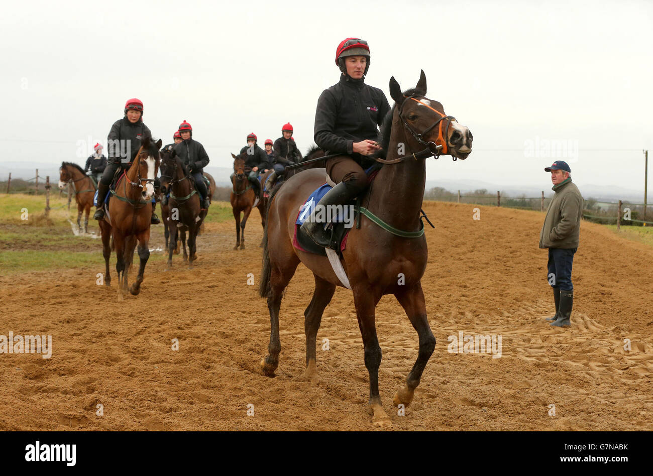 Horse Racing - Visit to Jessica Harrington Stable Visit - Commonstown ...