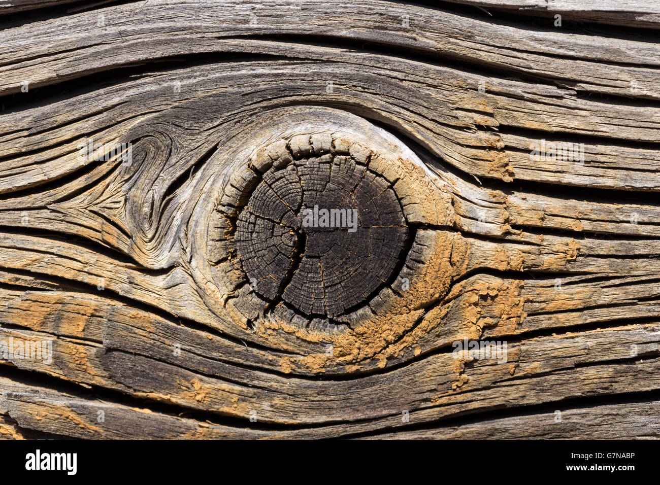 Background of old and dry wood with cracked texture Stock Photo - Alamy
