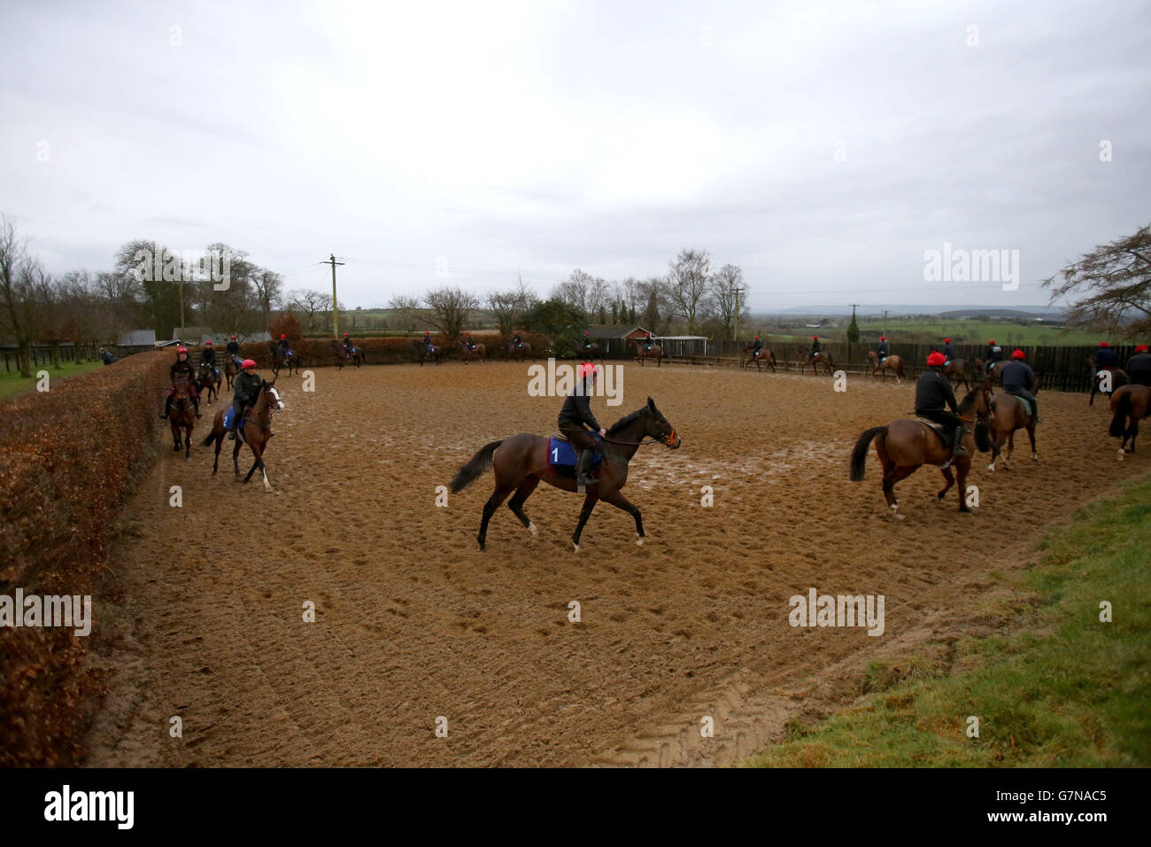 Horse Racing - Visit to Jessica Harrington Stable Visit - Commonstown ...
