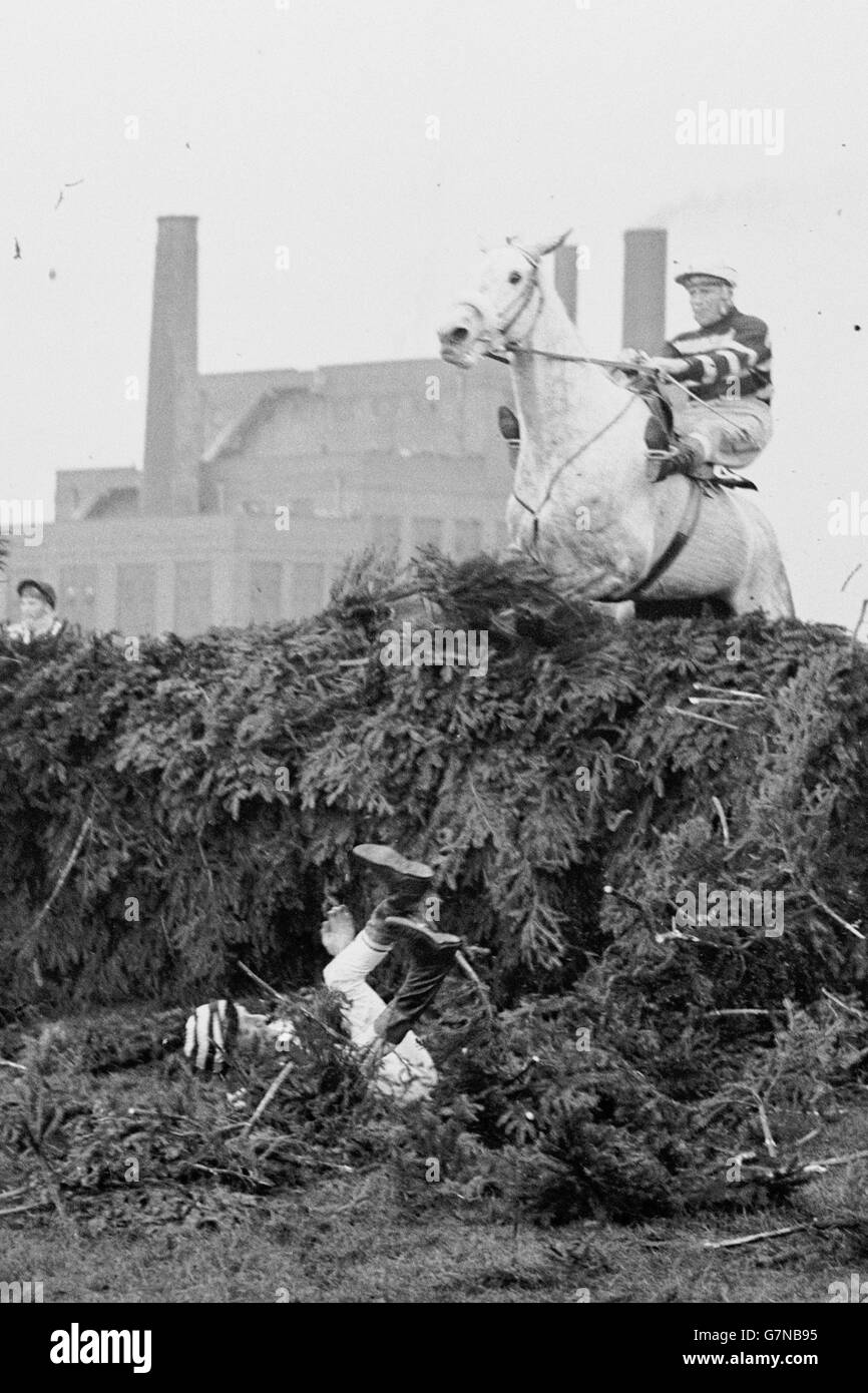 Horse Racing - The Grand National - Aintree. Flying Wild, Pat Taaffe up ...