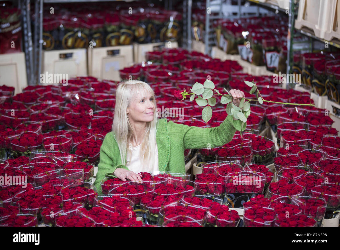 EDITORIAL USE ONLY Colour specialist Karen Haller stands among an ...