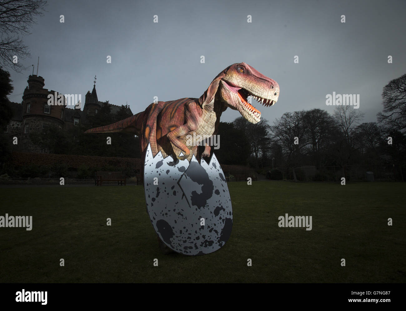 Animatronic dinosaur Velma the velociraptor emerges from a giant egg at ...