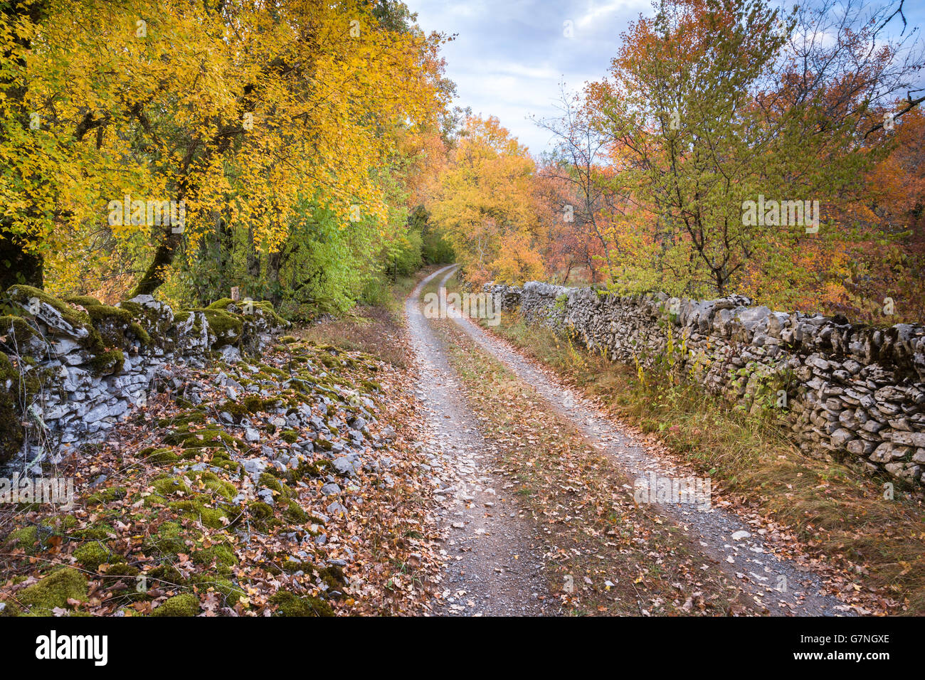 Autumn lane with a stone wall and colorful trees Stock Photo - Alamy