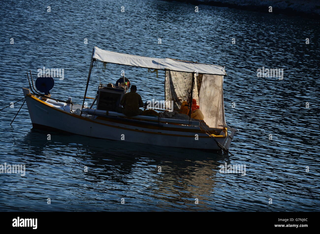 Gathering of fish hi-res stock photography and images - Alamy