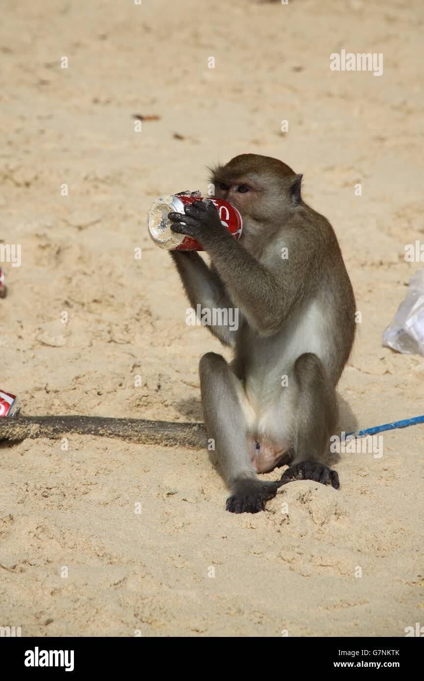 Coke drink hi-res stock photography and images - Alamy