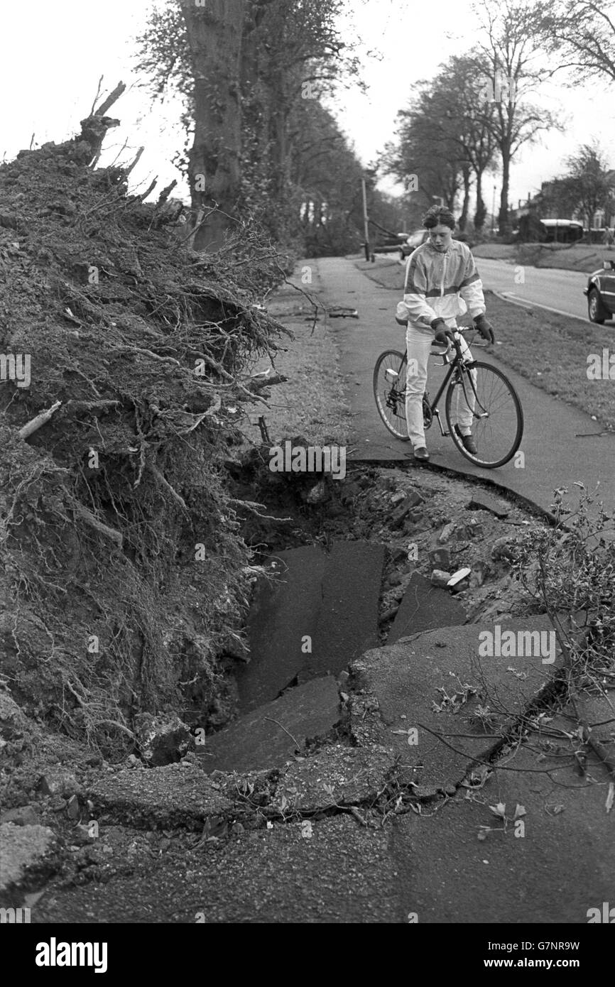 A cyclist views a huge hole left by an uprooted tree on Mole Road ...