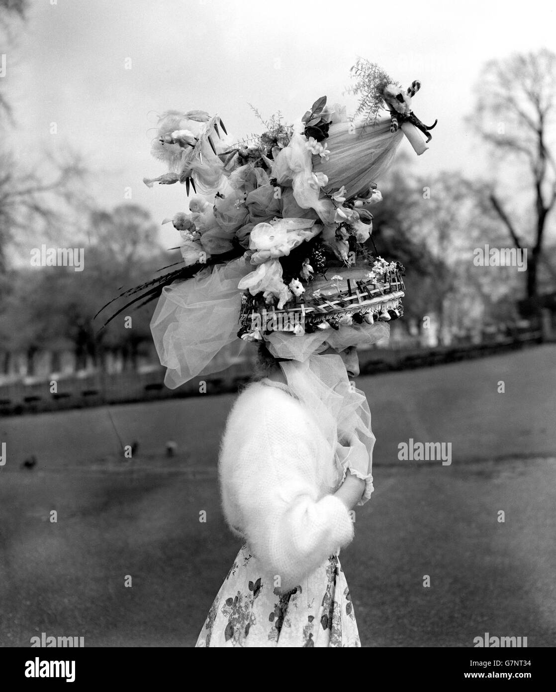 Worn animals Black and White Stock Photos & Images - Alamy