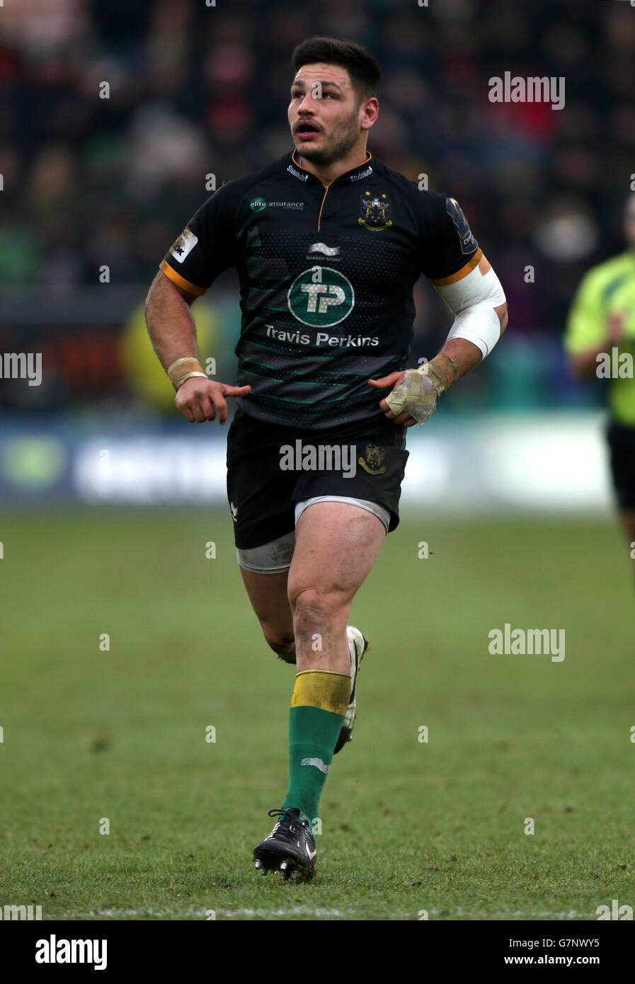 Wasps rugby badge hi-res stock photography and images - Alamy