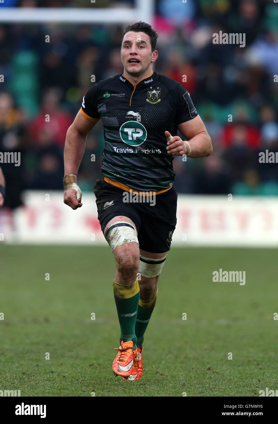 Wasps rugby badge hi-res stock photography and images - Alamy