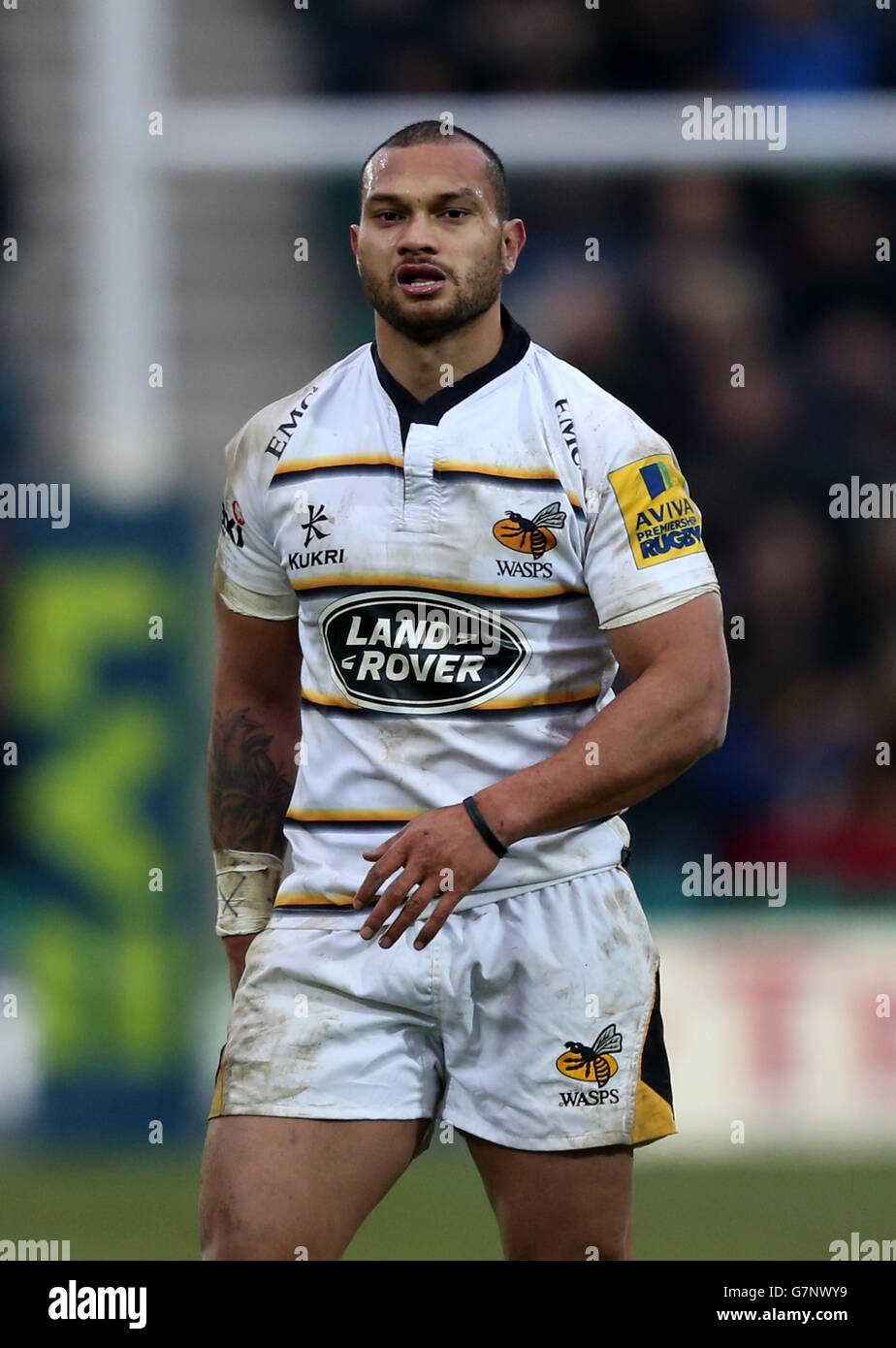 Wasps rugby badge hi-res stock photography and images - Alamy