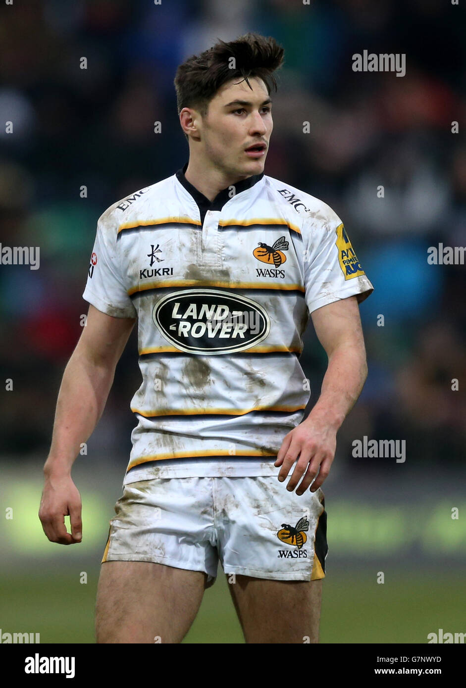 Wasps rugby badge hi-res stock photography and images - Alamy