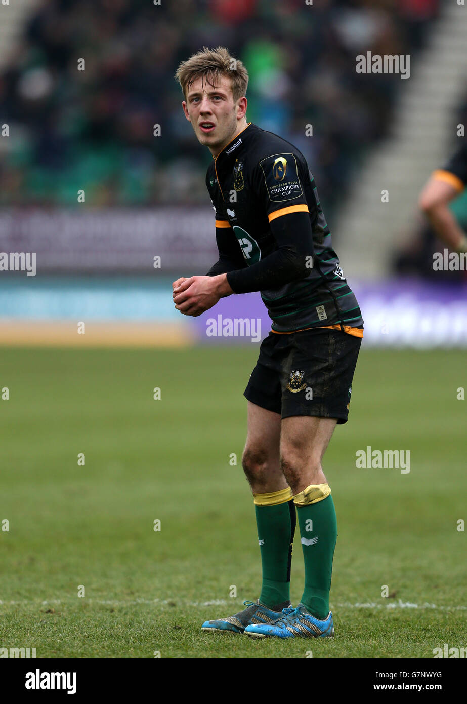 Wasps rugby badge hi-res stock photography and images - Alamy