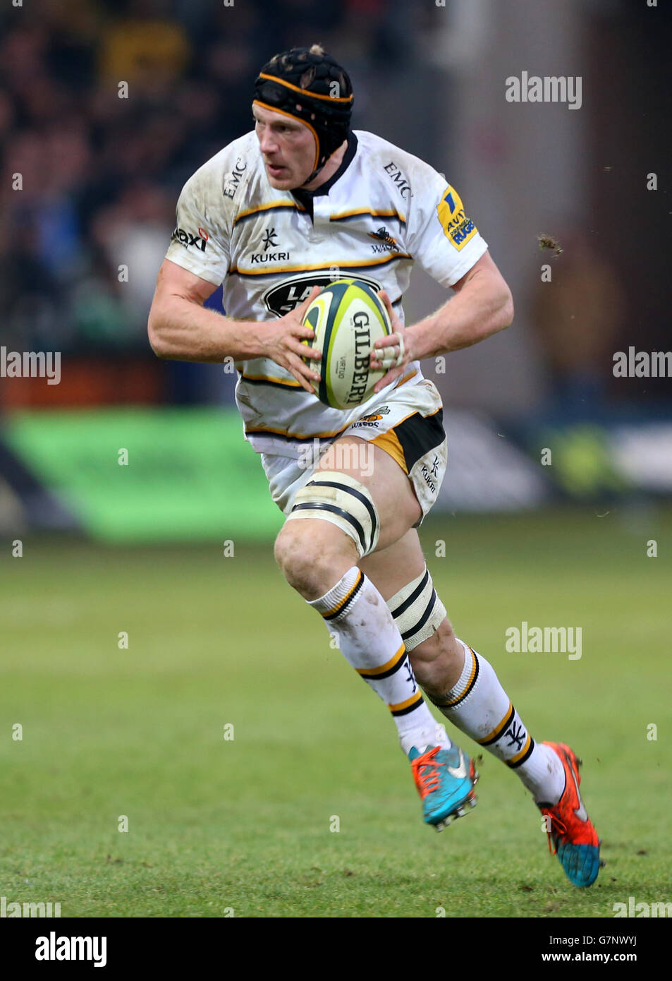 Wasps rugby badge hi-res stock photography and images - Alamy
