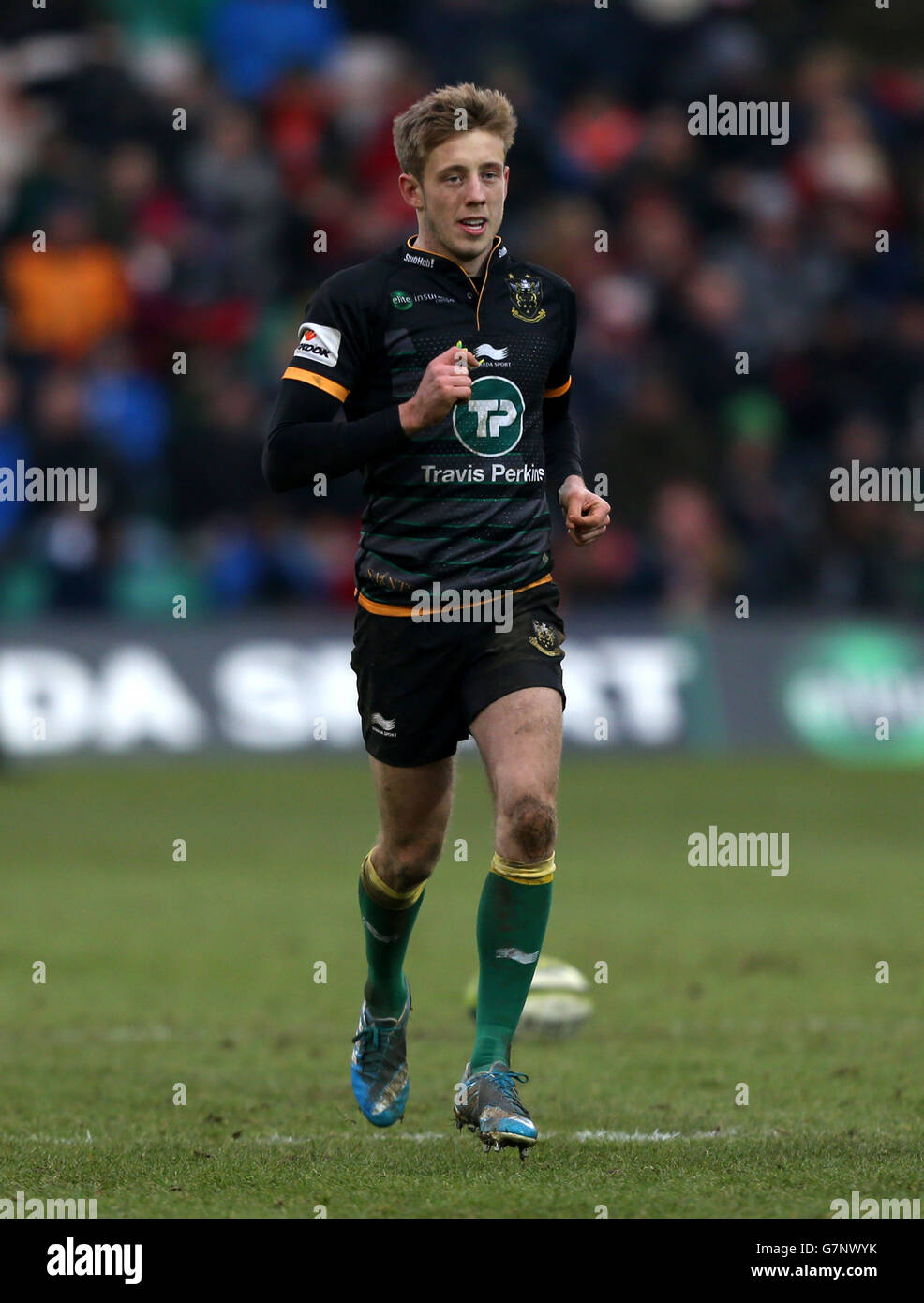 Wasps rugby badge hi-res stock photography and images - Alamy