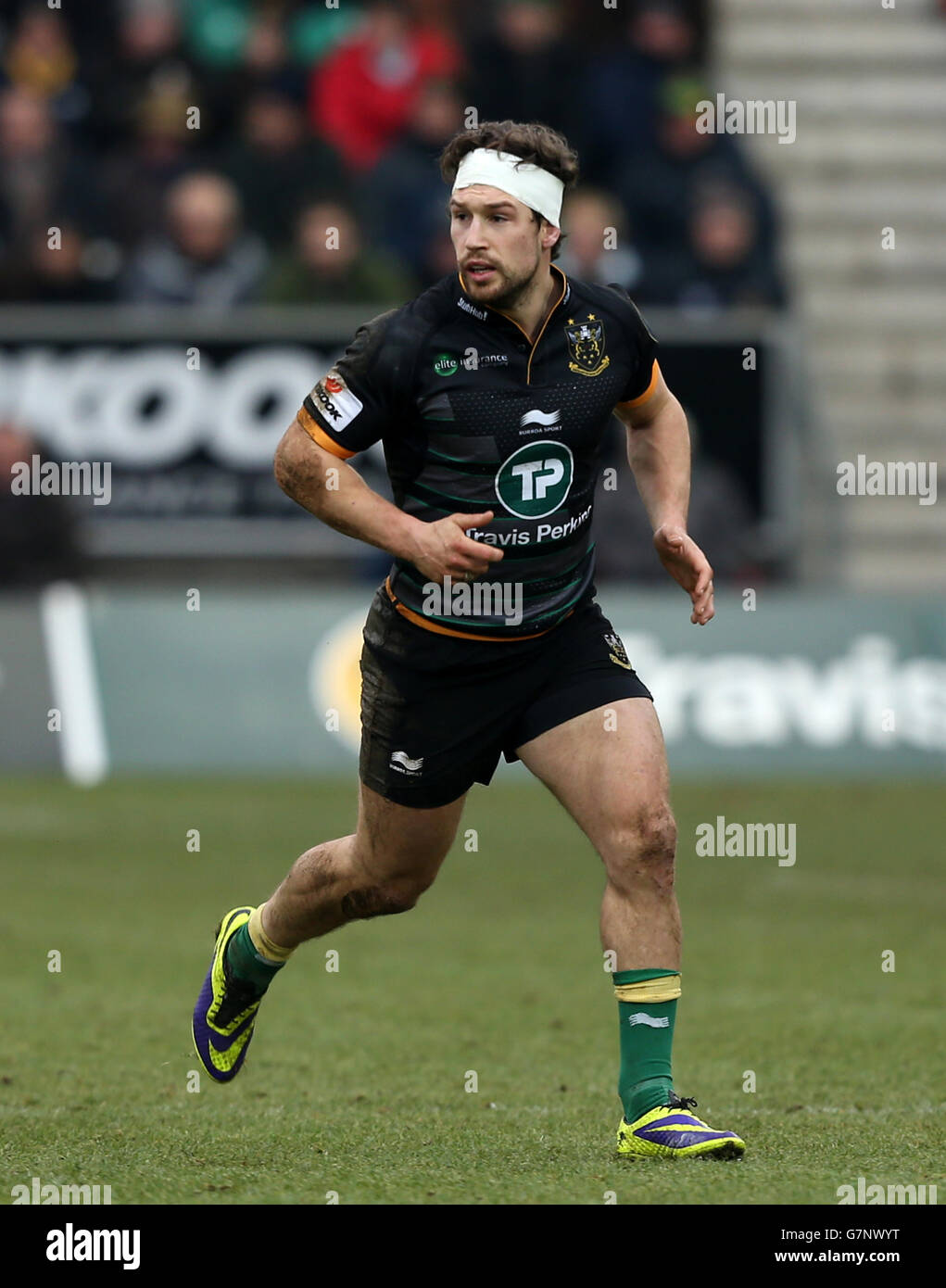 Wasps rugby badge hi-res stock photography and images - Alamy