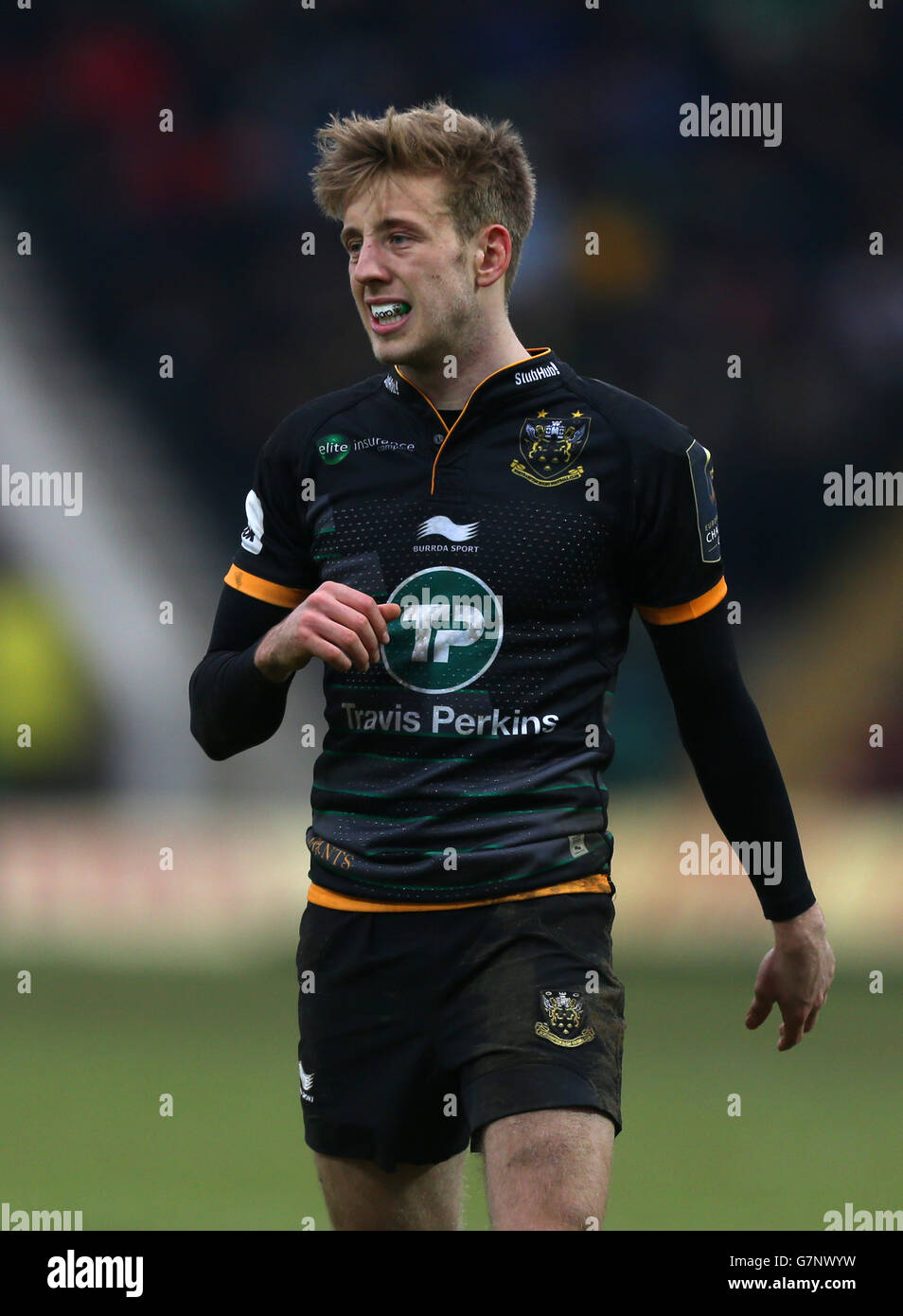 Wasps rugby badge hi-res stock photography and images - Alamy