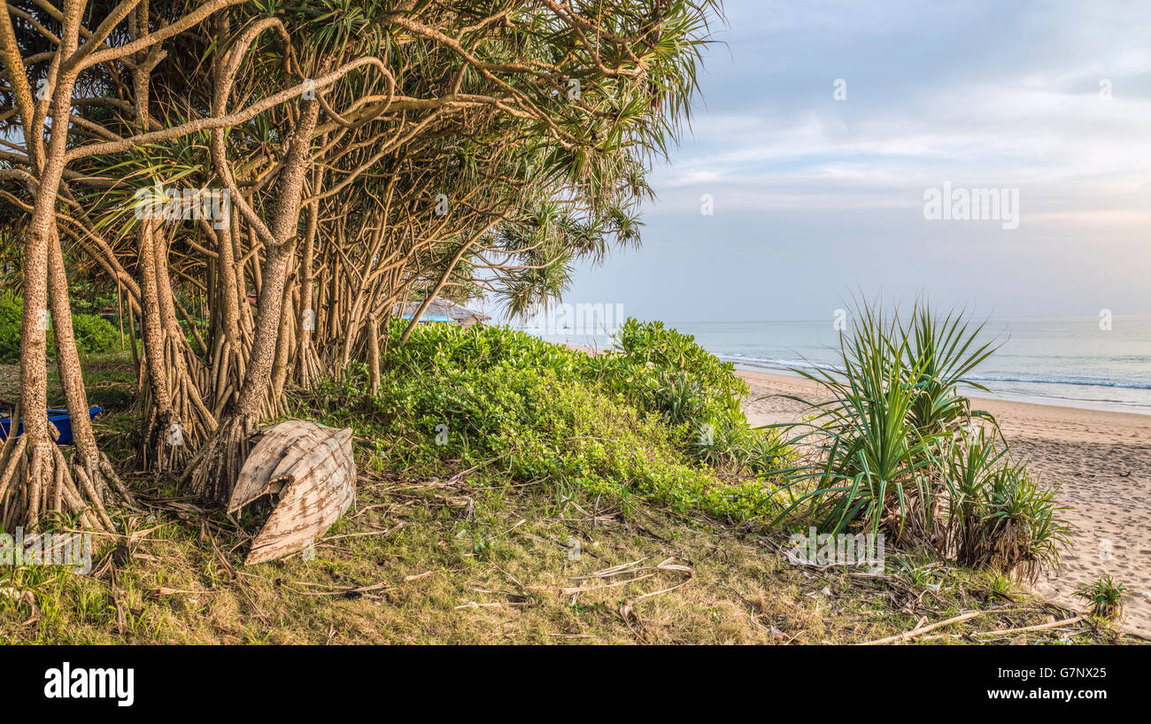 Scenic dawn at Klong Nin Beach at Koh Lanta Island, Krabi, Thailand ...