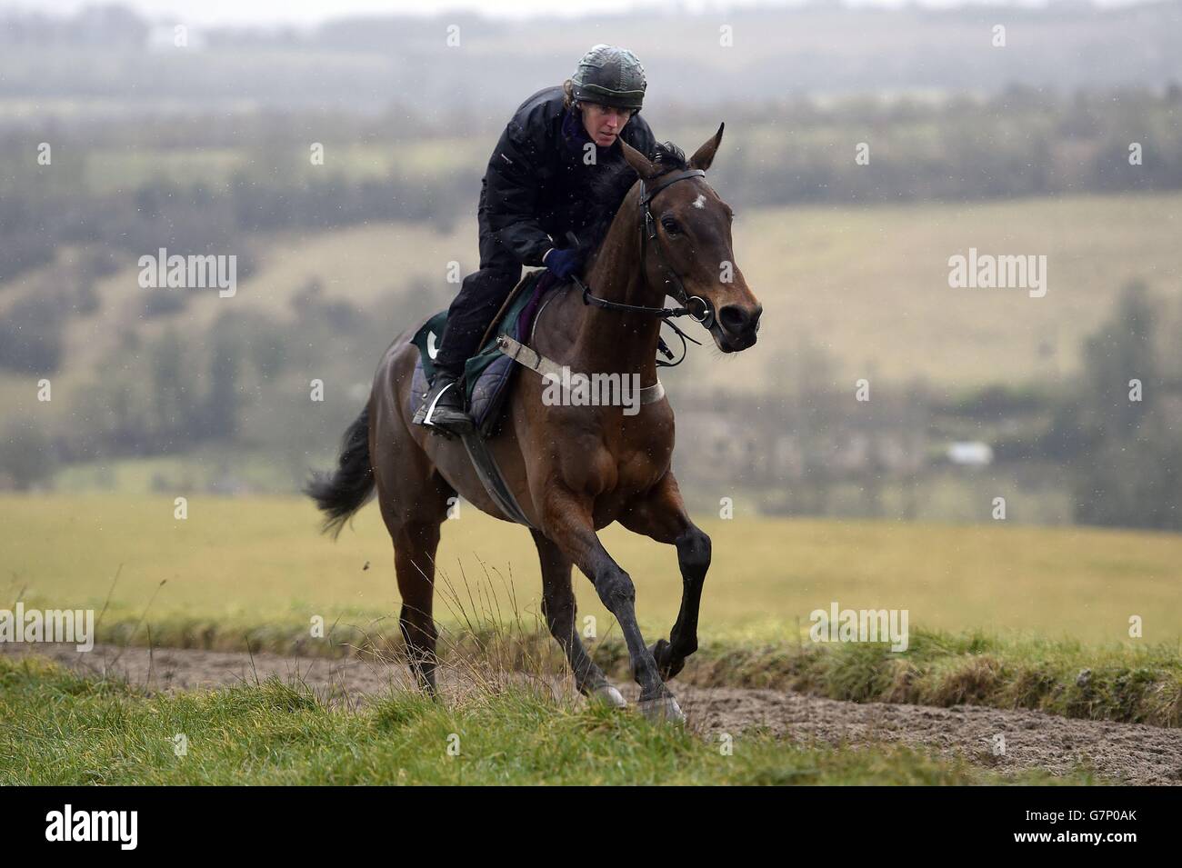 Horse racing nigel twiston davies stable visit grange hill farm hi-res ...