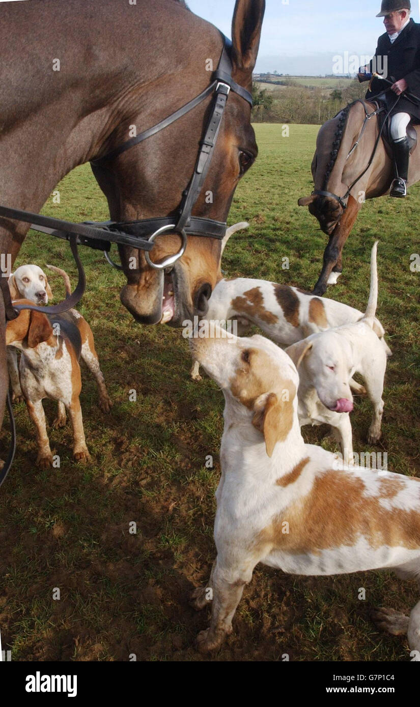 Hunt supporters lost their High Court battle to overturn the ban on ...
