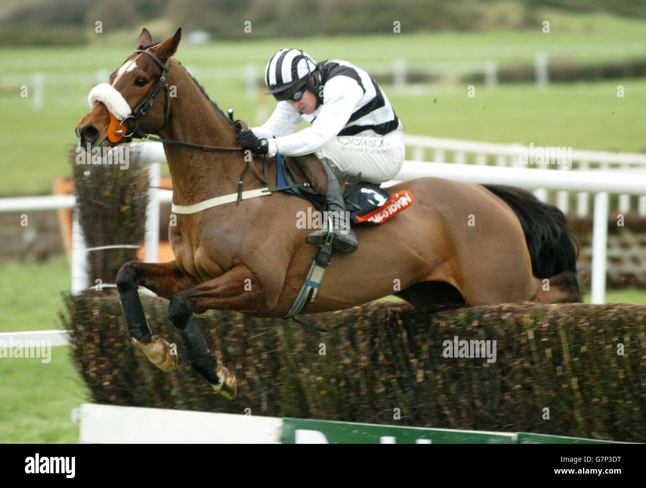 Horse Racing - Punchestown Racecourse Stock Photo - Alamy