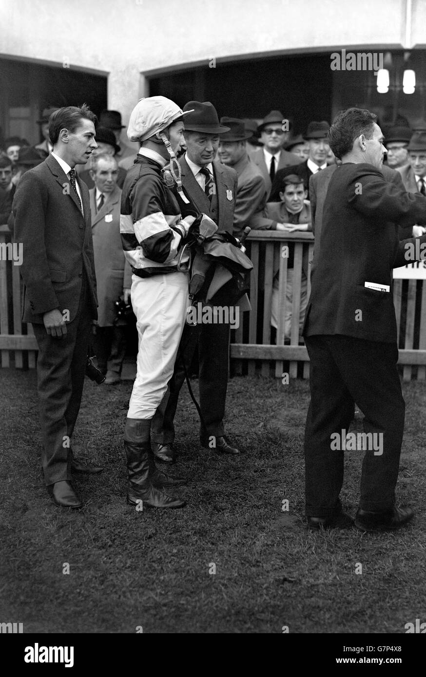 Sir ivor horse hi-res stock photography and images - Alamy