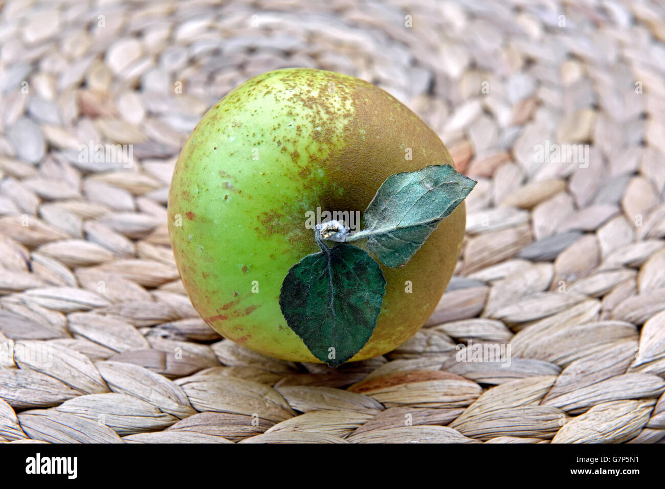 Seedling of apple hi-res stock photography and images - Alamy
