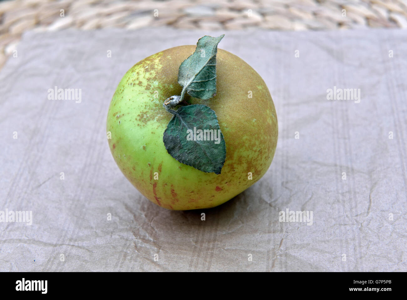 Malus Pinner Seedling Apple, Raised in 1810 by James Carrell of Pinner ...